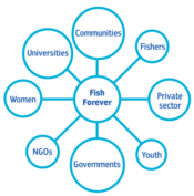 Fish Forever – Rare