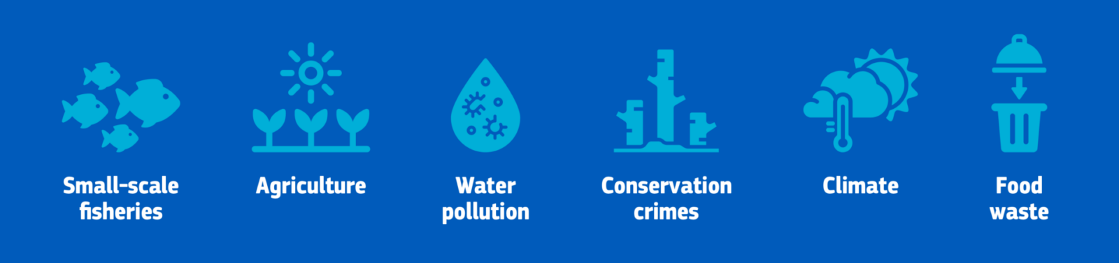 Center for Behavior & the Environment – Rare