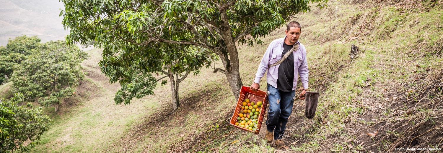 Farming For Zero Hunger – Rare