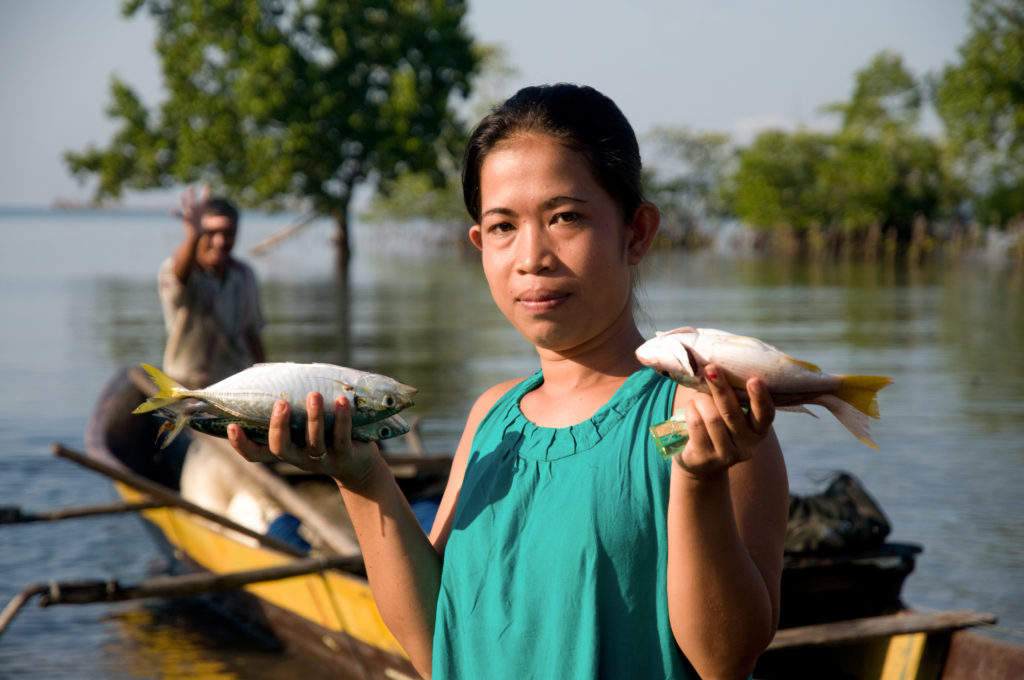 Fish Forever receives €1 million from Dutch Postcode Lottery – Rare