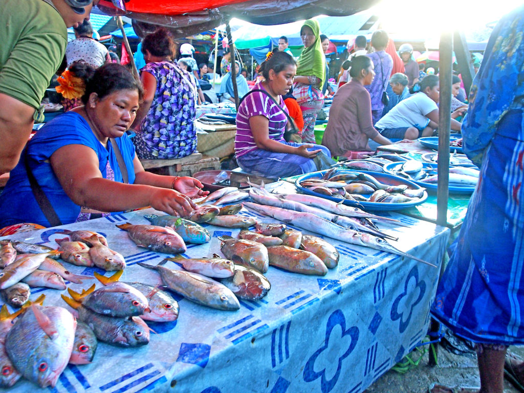 Fish Forever receives €1 million from Dutch Postcode Lottery – Rare