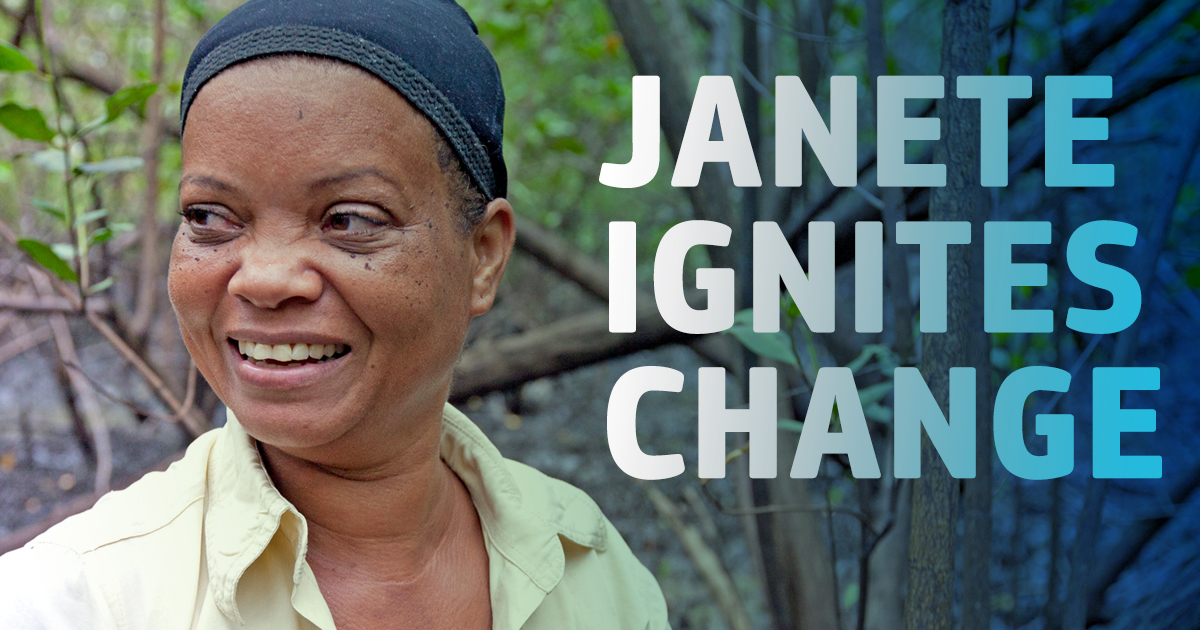 Revival in the Mangroves – Rare