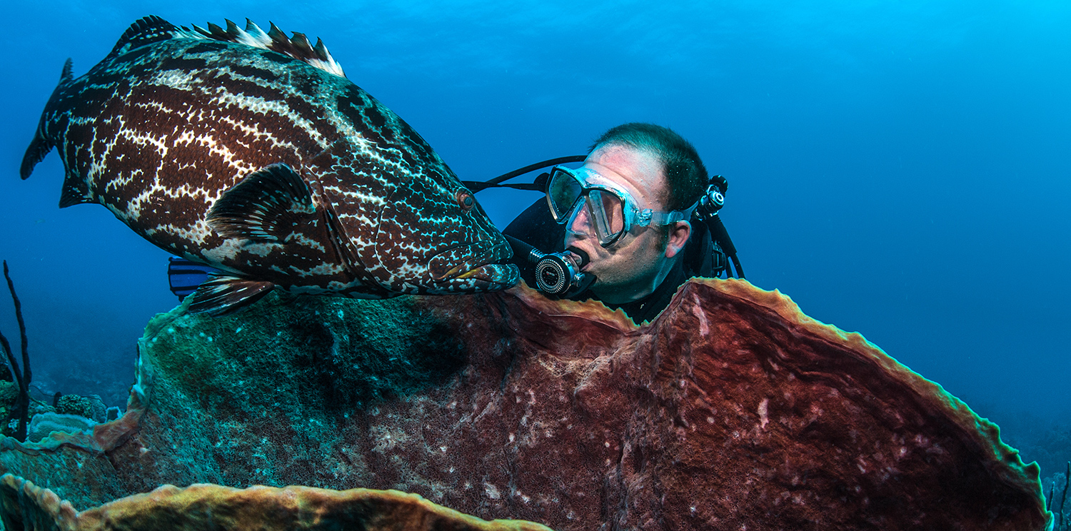 Fishing Forward – Rare