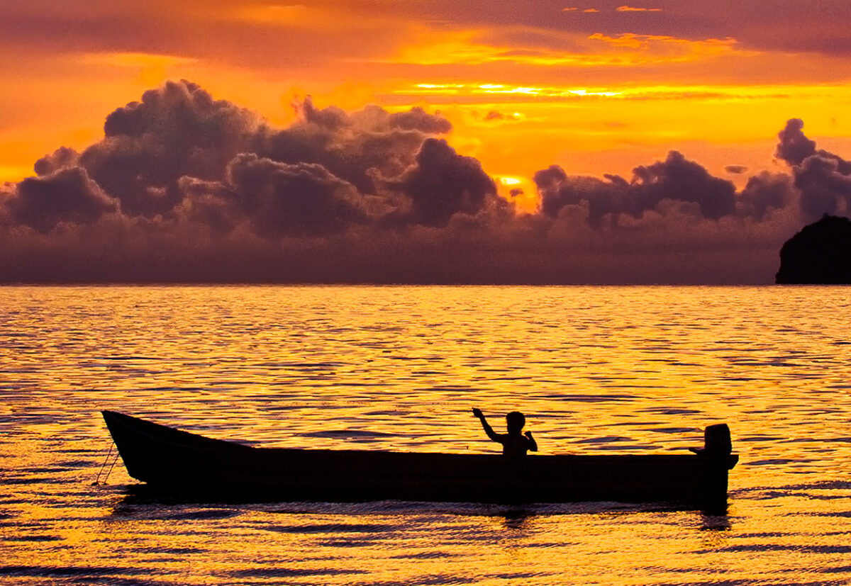 Fish Forever Progress Update #26 Speak Up for The Ocean – Rare