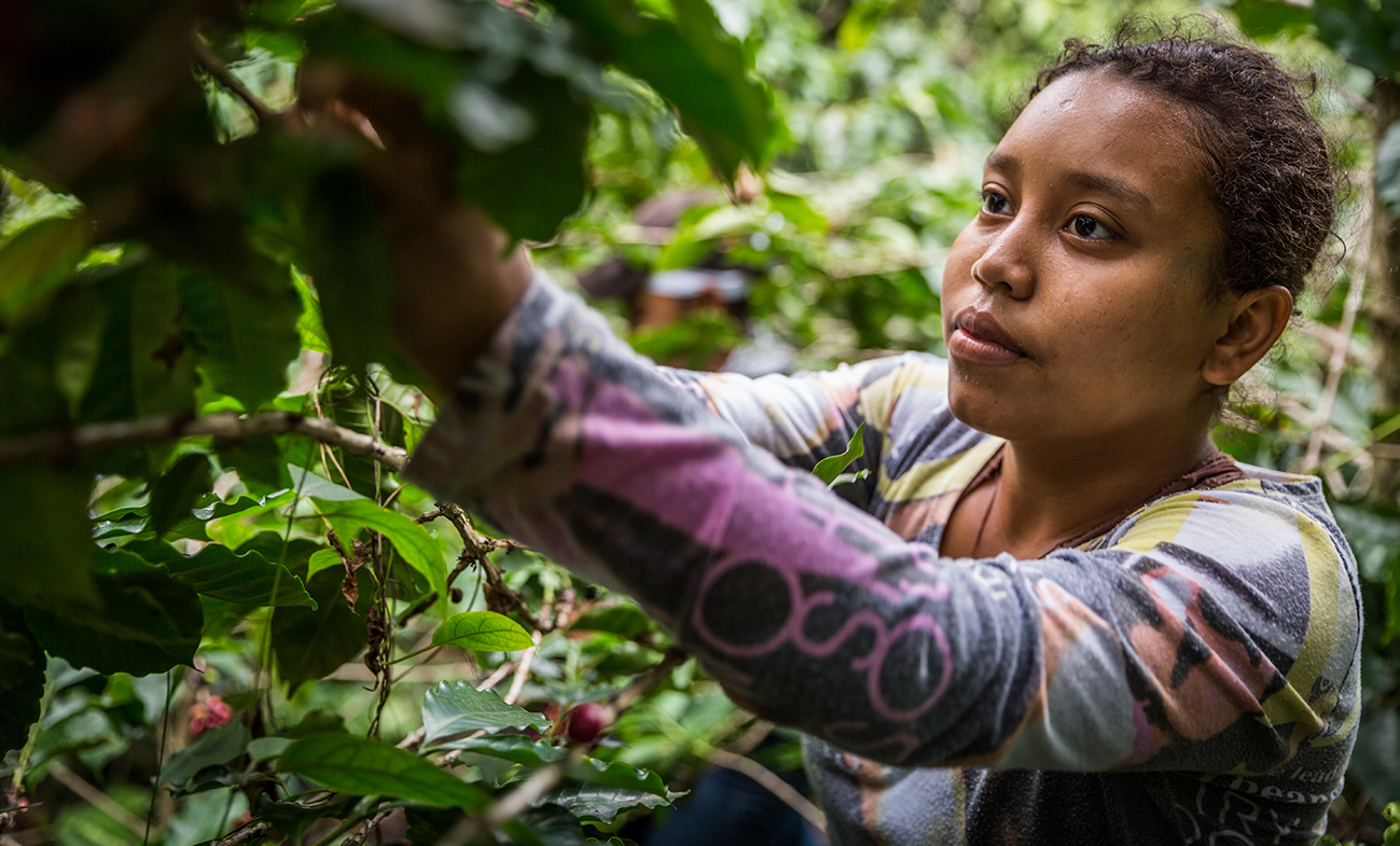 Bringing the science of human behavior to environmental challenges – Rare