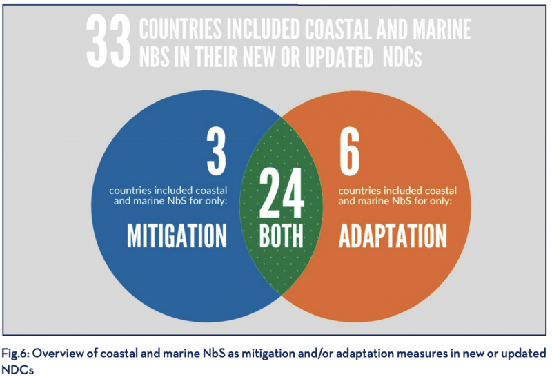 Coastal and Marine Ecosystems as Nature-based Solutions (NbS) – Rare