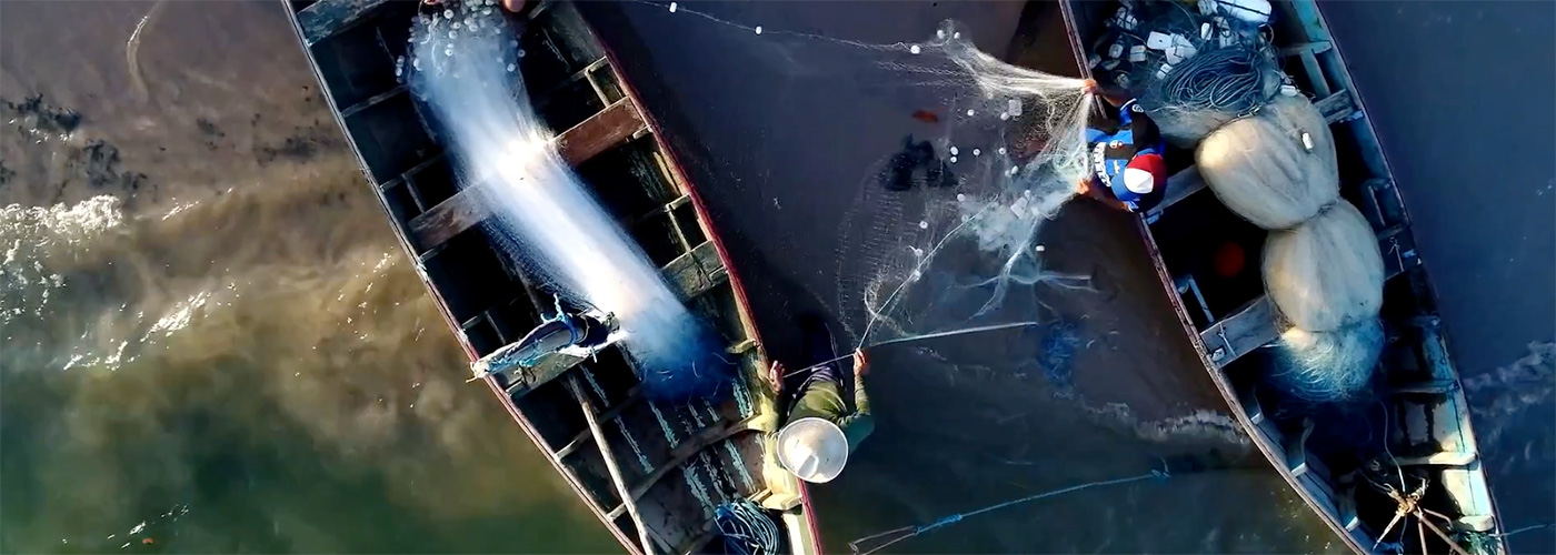 Fish Forever: Then and Now – Rare