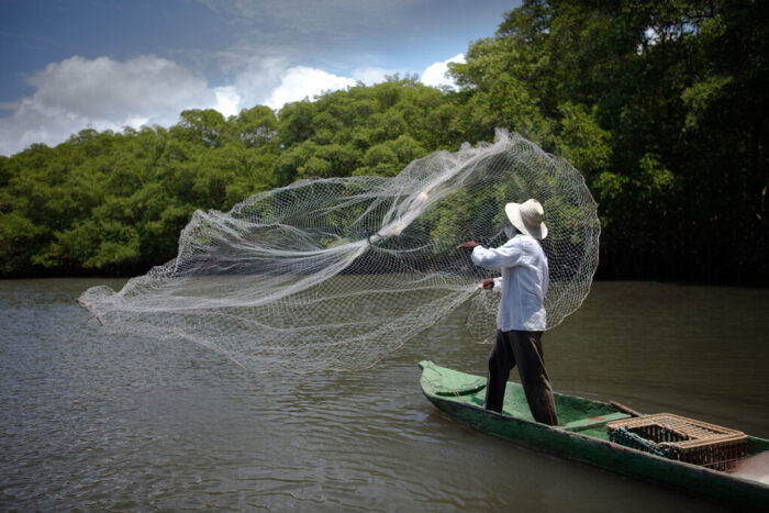 Fish Forever in Brazil – Rare