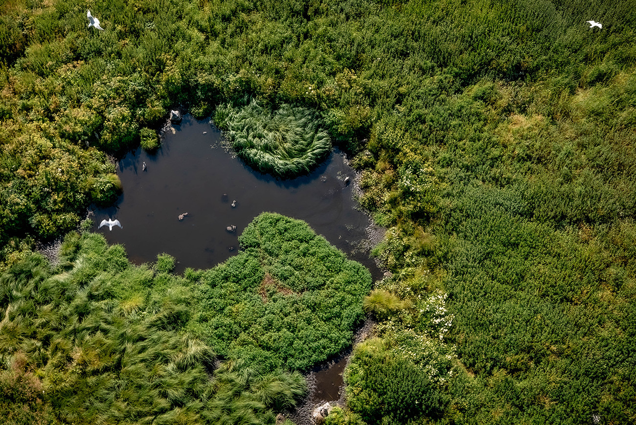 Biodiversity Quiz – Rare