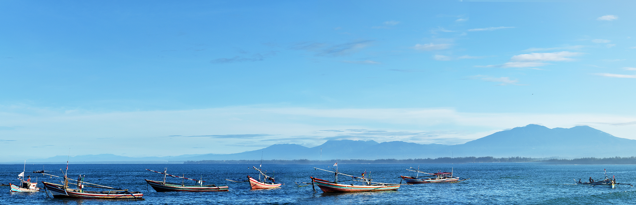 The Meloy Fund – Rare