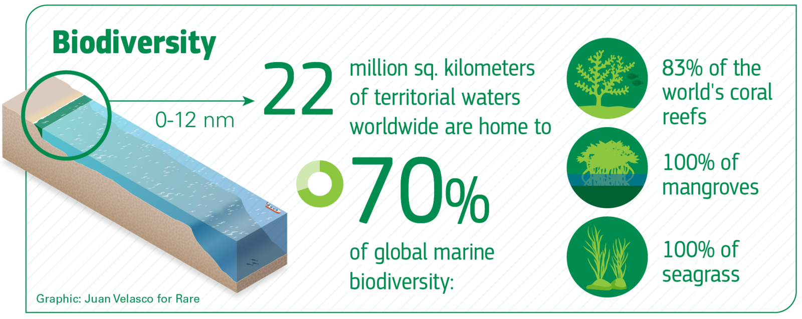 Sustainable Fishing | Protecting Our Oceans, People, and Planet – Rare