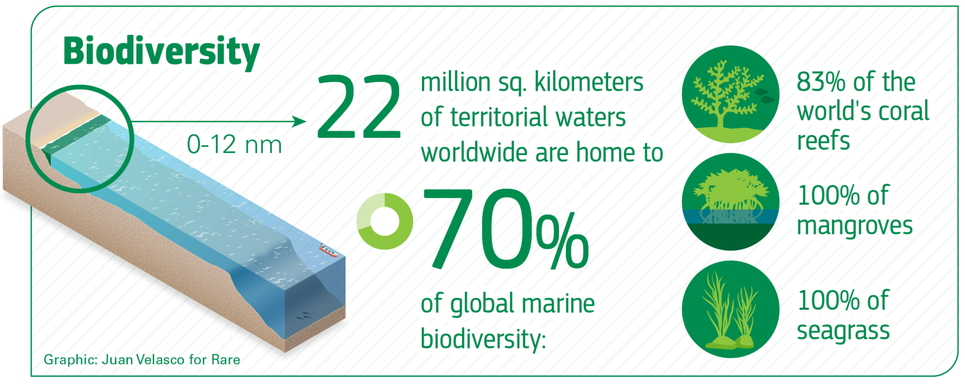 Sustainable Fishing | Protecting Our Oceans, People, and Planet – Rare