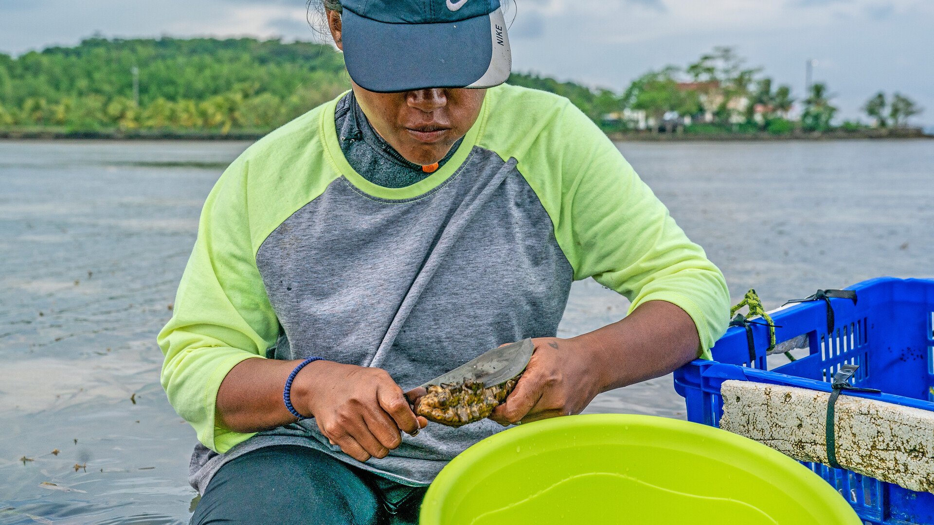 Palau launches a national fisher registration system to support coastal ...