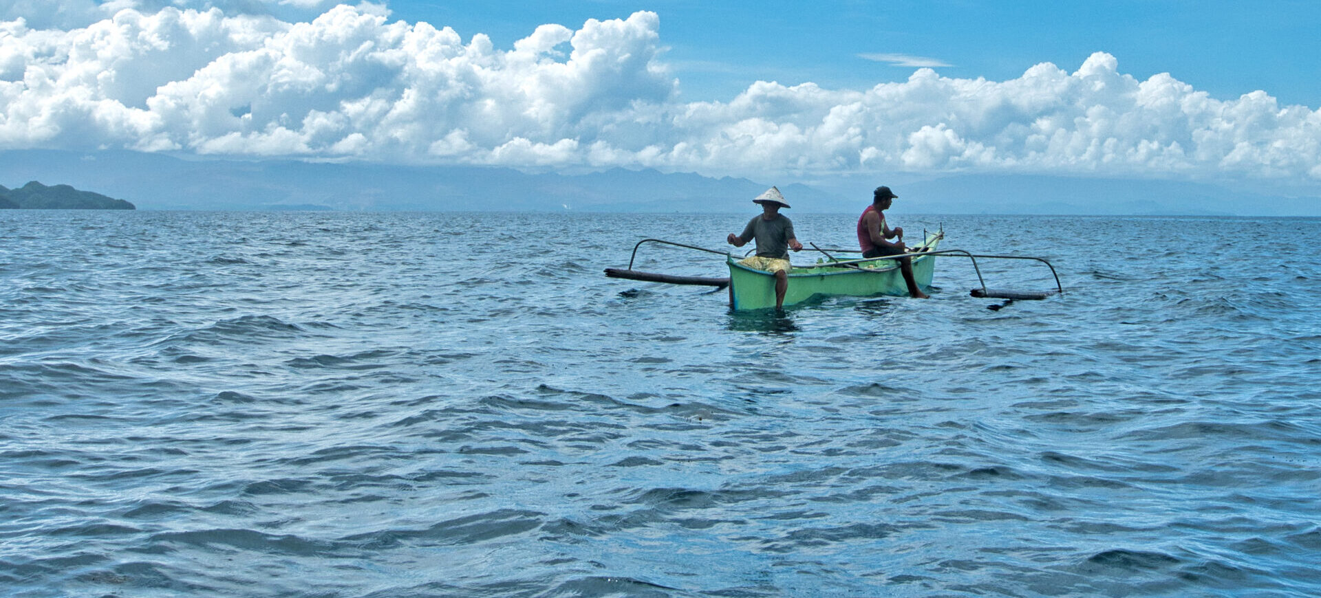 Fish Forever – Rare