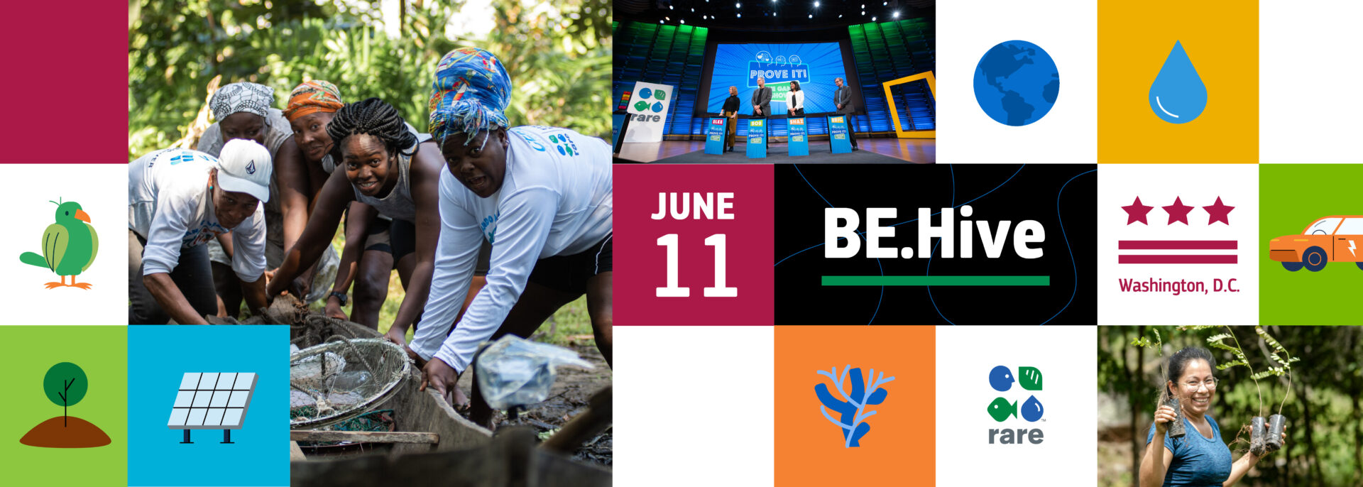 BE.Hive: Behavioral Insights to Environmental Impacts – Rare