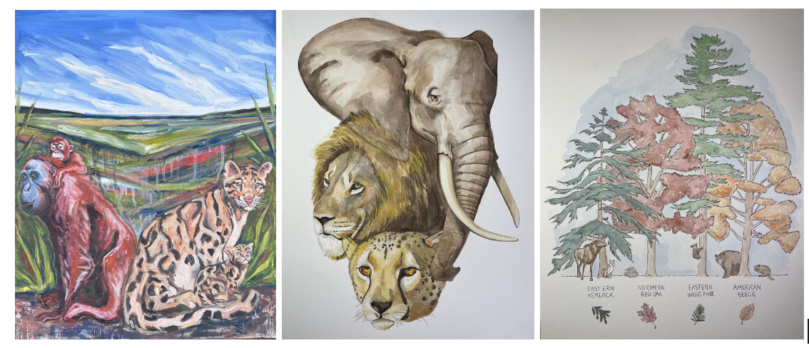 From canvas to conservation: how artists and storytelling can bring ...