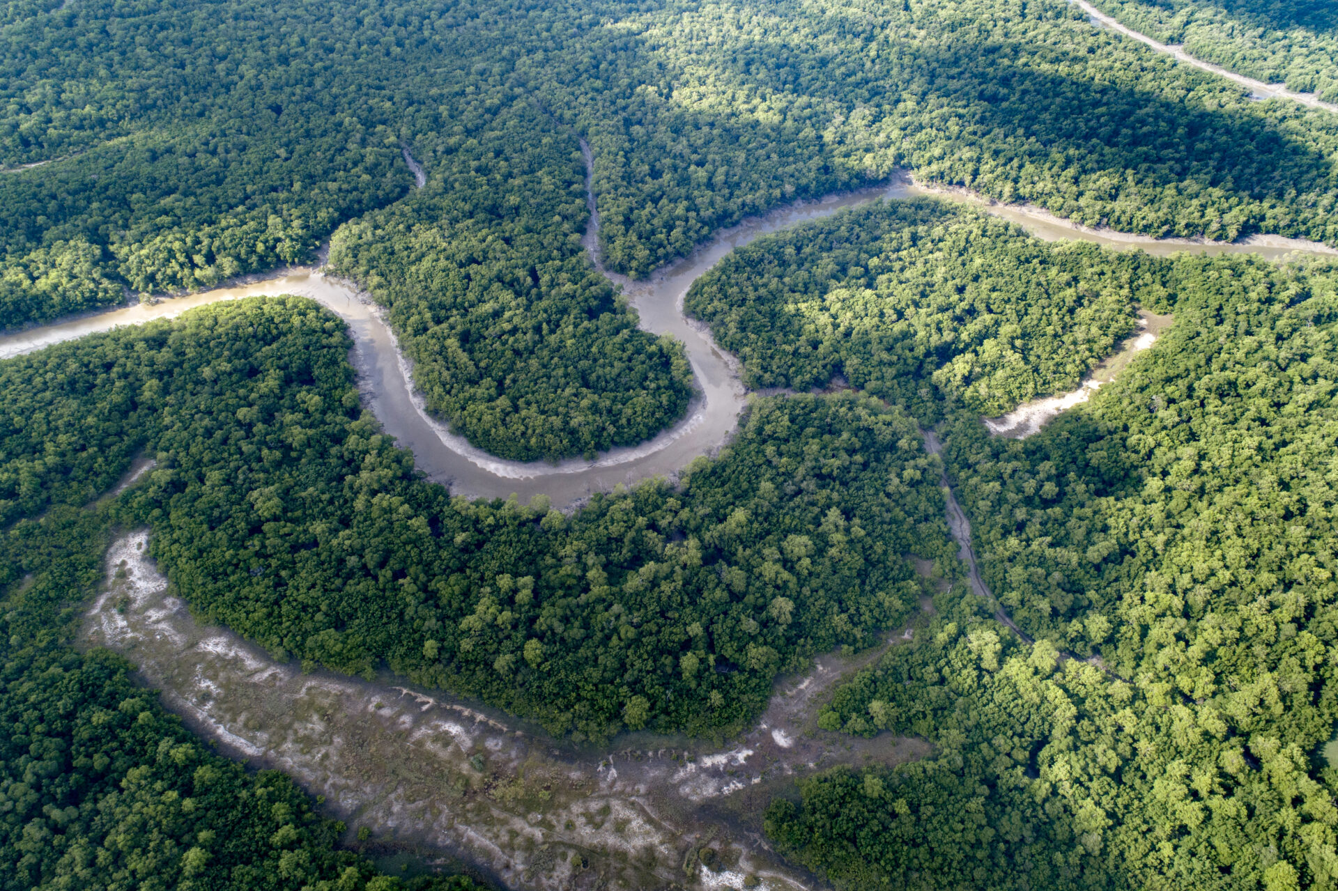 Become a Champion for Change – Rare