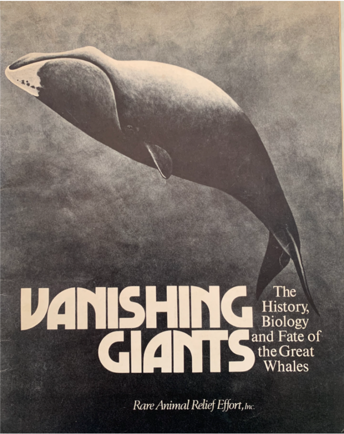 Protecting Biodiversity – Rare