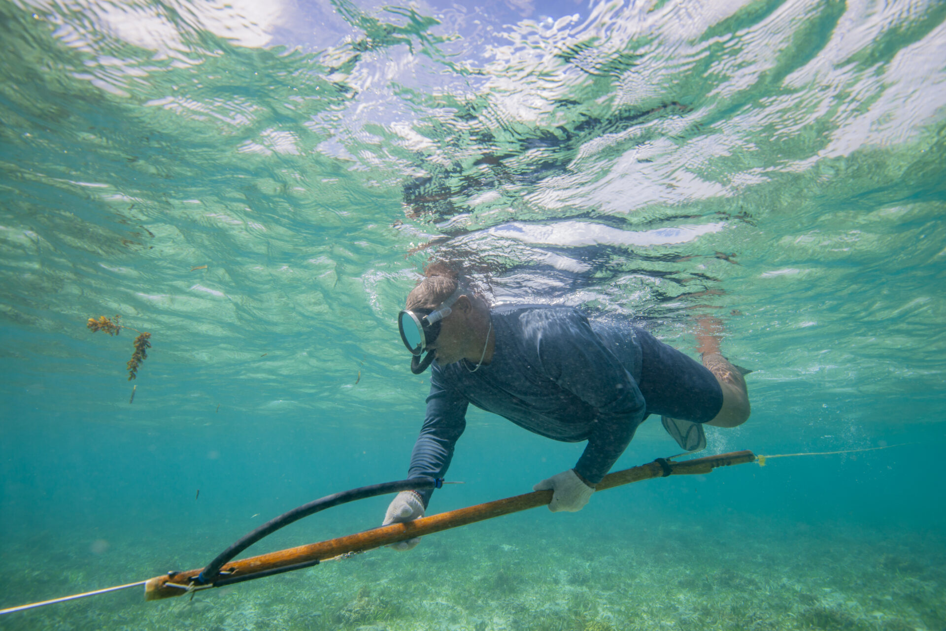 In Palau, community-led aquaculture offers hope for restoring the giant ...