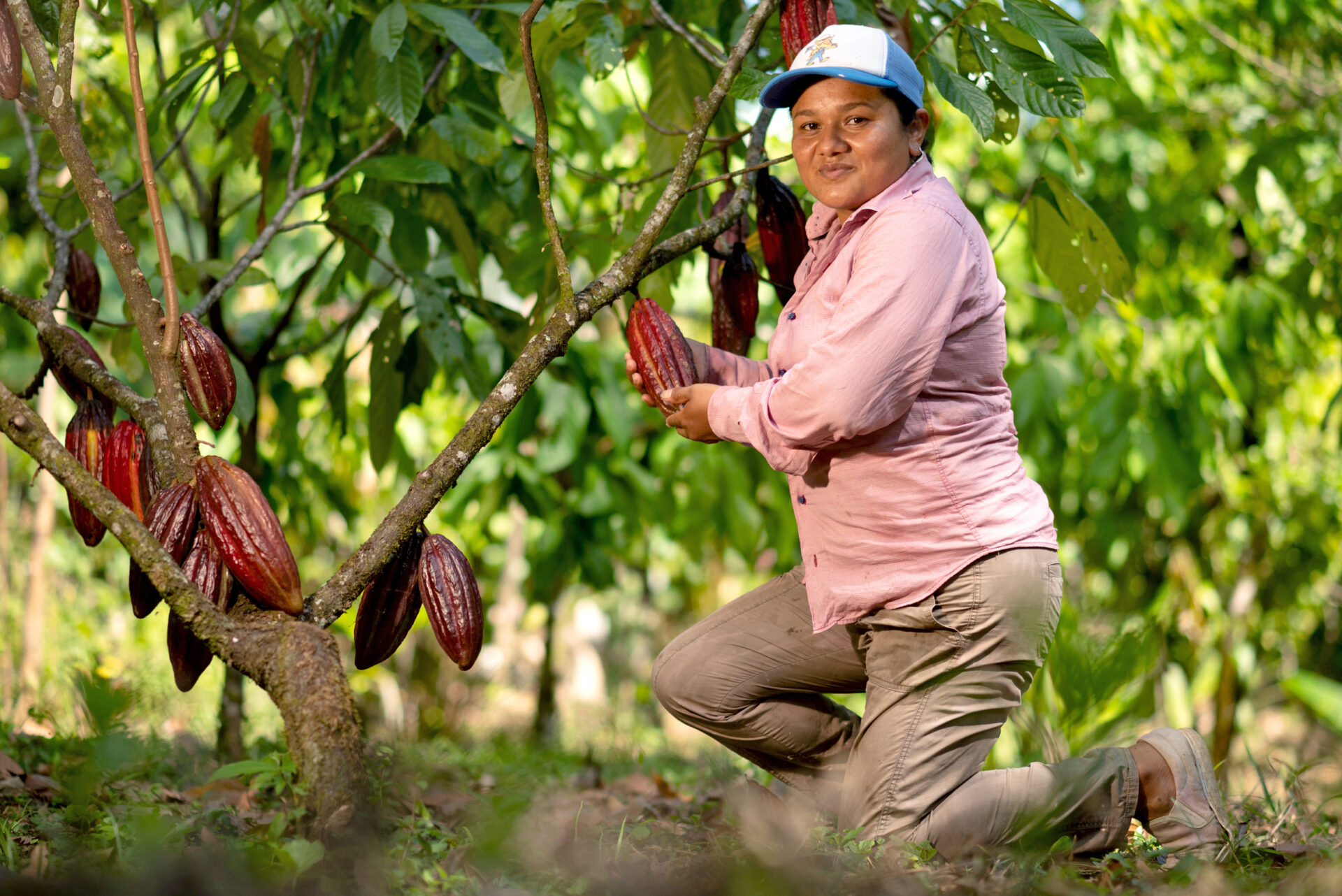 How regenerative farming is rebuilding communities in Colombia – Rare