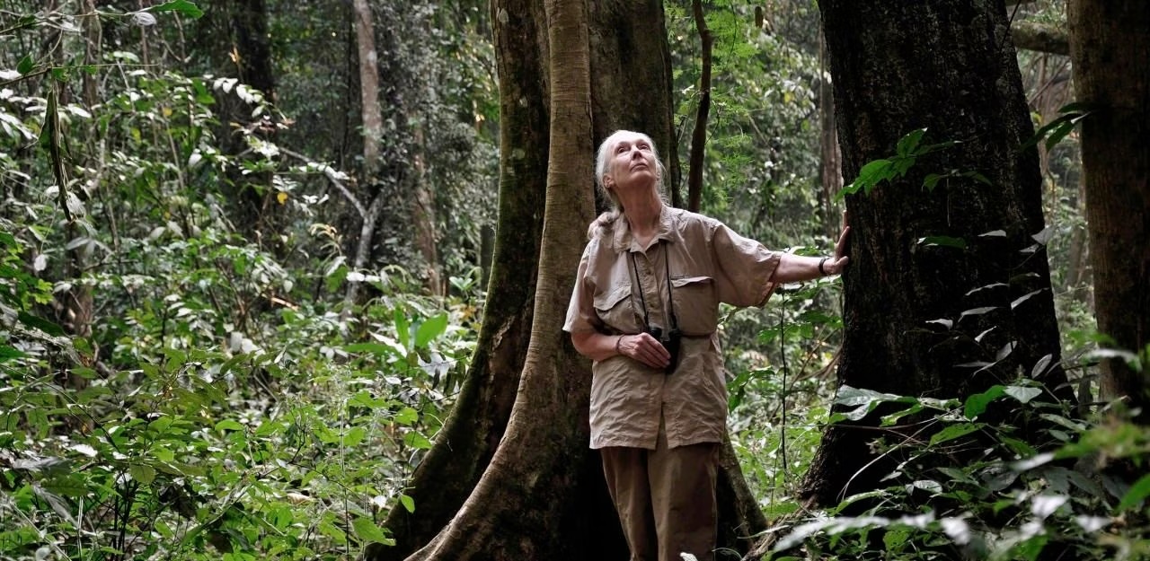 Statement of Rare CEO Brett Jenks on the Passing of Dr. Jane Goodall – Rare