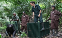 14 of the best nature conservation charities and organizations – Rare