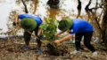 14 of the best nature conservation charities and organizations – Rare
