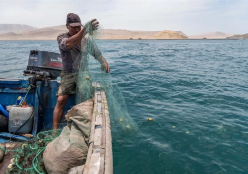 14 of the best nature conservation charities and organizations – Rare
