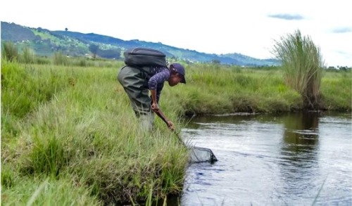 14 of the best nature conservation charities and organizations – Rare