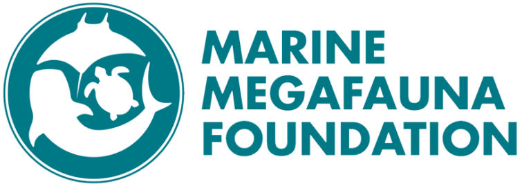 19 inspiring ocean conservation charities you can support in 2026